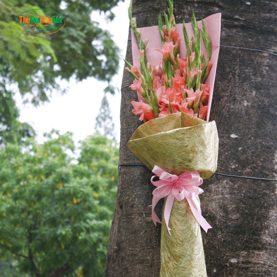 10 cách cách bó hoa loa kèn đẹp đơn giản và nhìn là mê